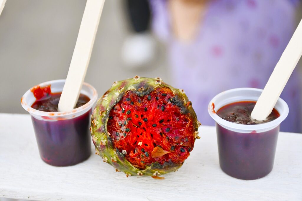 ¡Revive los mejores momentos del Festival de la Pitaya Choix 2025! – AYUNTAMIENTO DE CHOIX